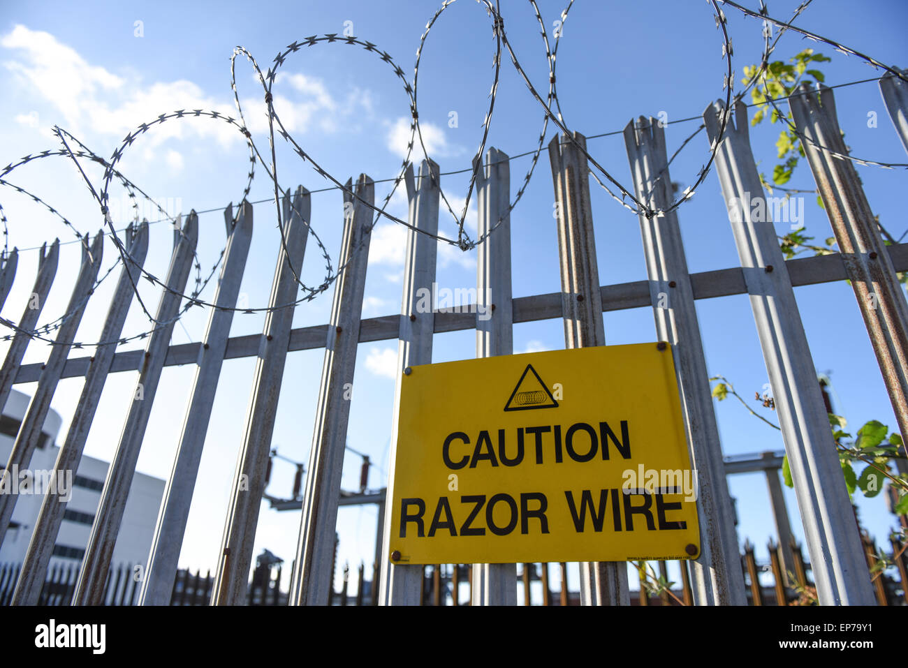 Razor wire injury hi-res stock photography and images - Alamy