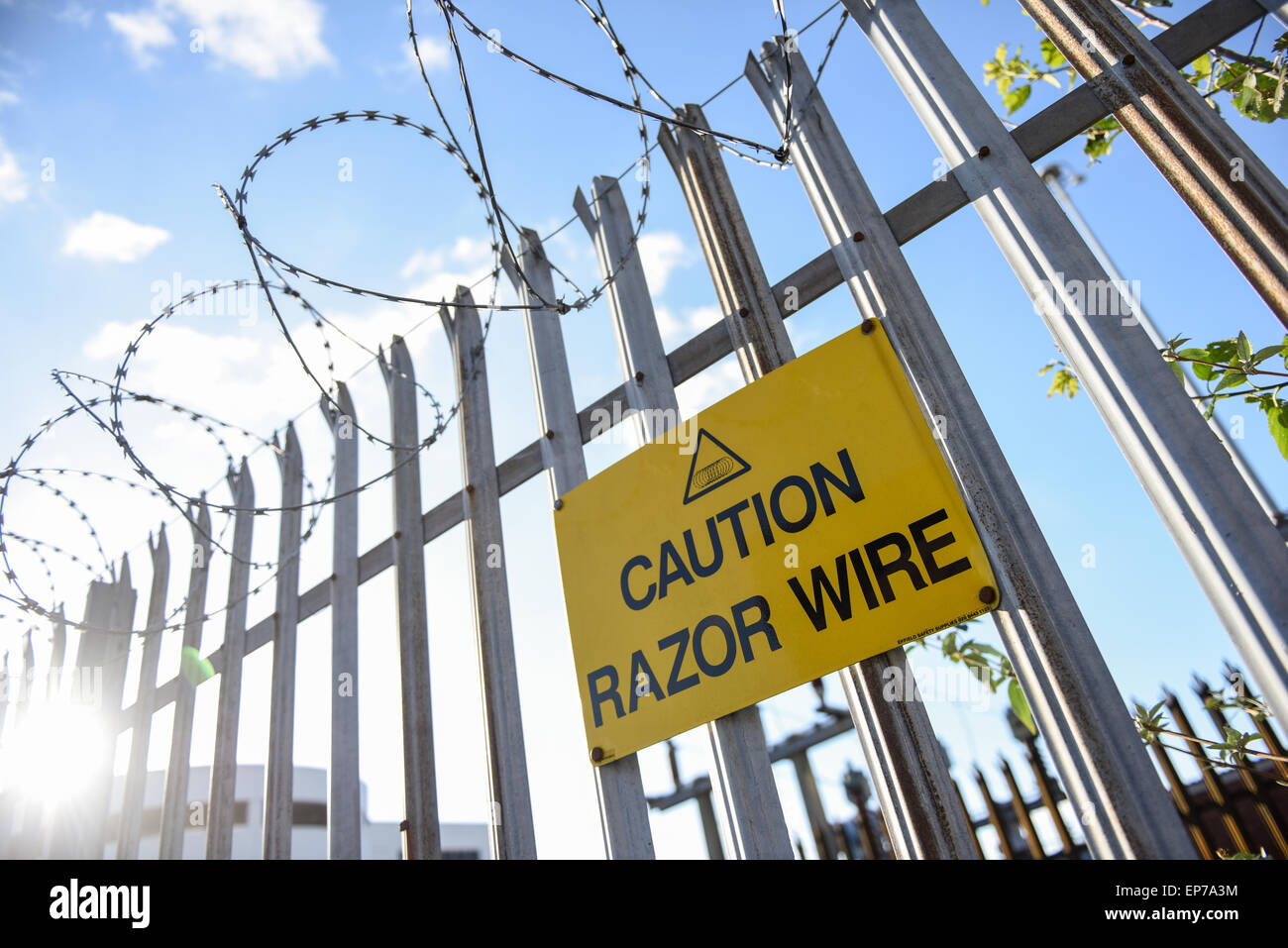 Razor wire injury hi-res stock photography and images - Alamy