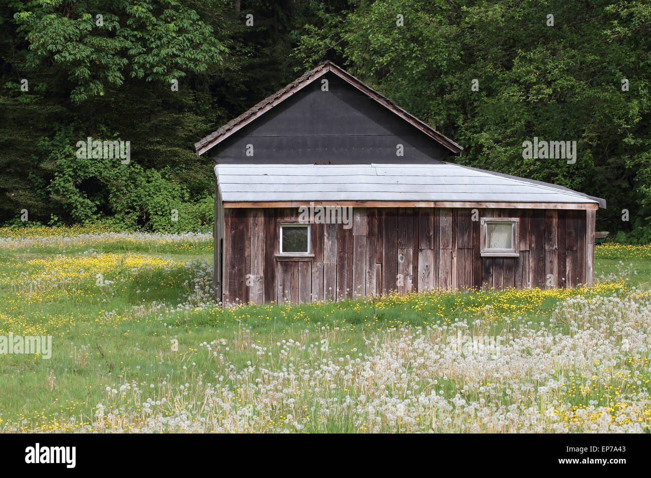 Metal shack house hi-res stock photography and images - Alamy
