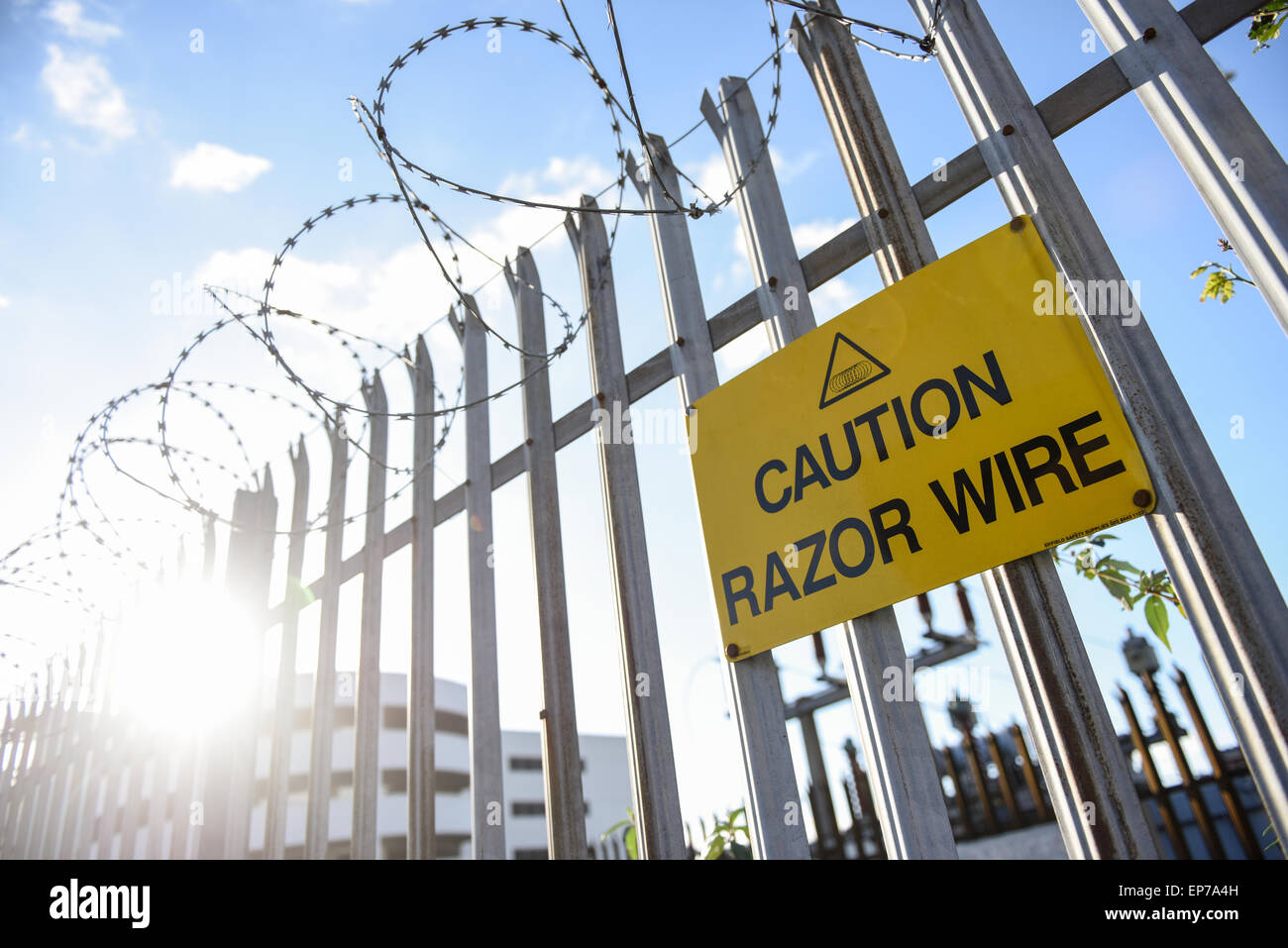 Razor wire injury hi-res stock photography and images - Alamy