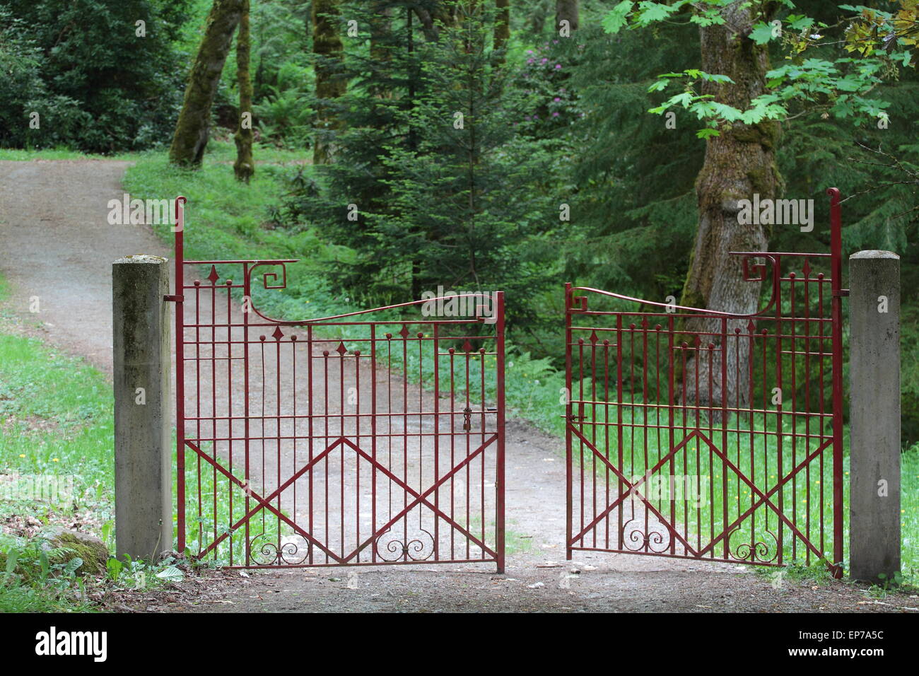 Metal Gate and Path Stock Photo - Alamy