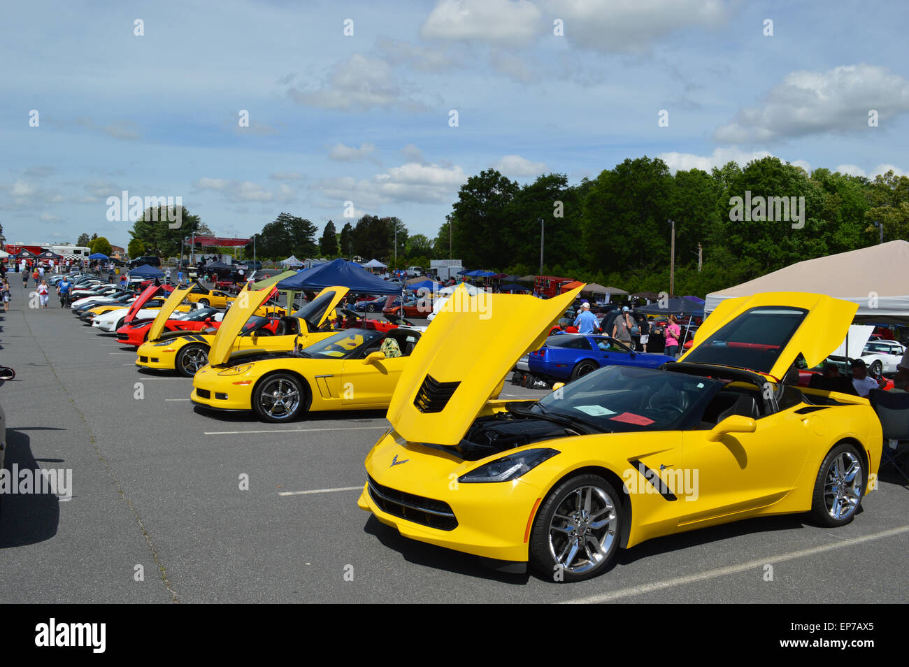 C6 chevrolet corvette car show hi-res stock photography and images - Alamy