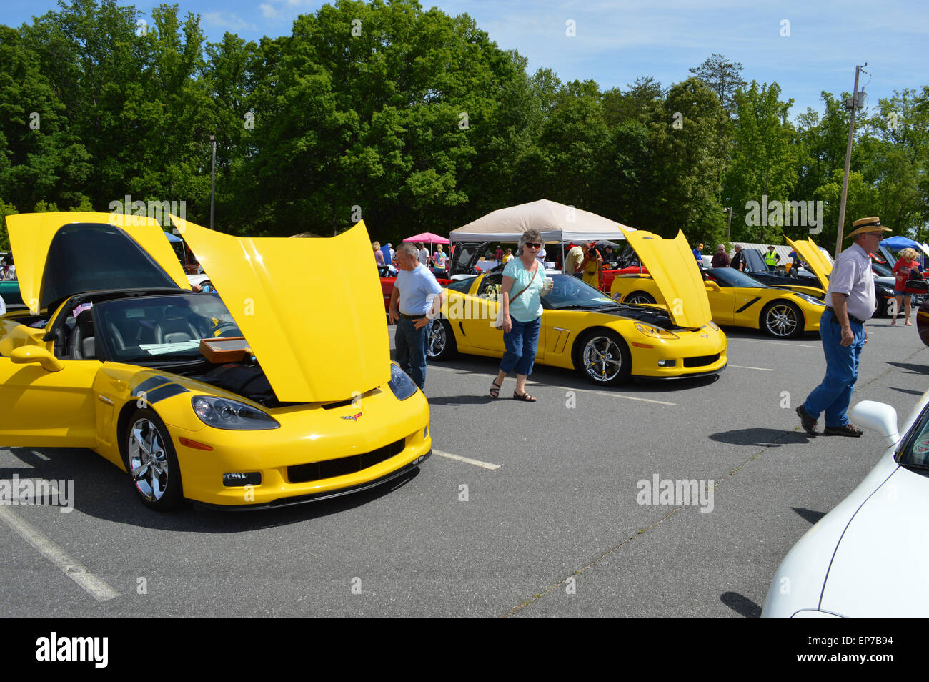 C6 chevrolet corvette car show hi-res stock photography and images - Alamy