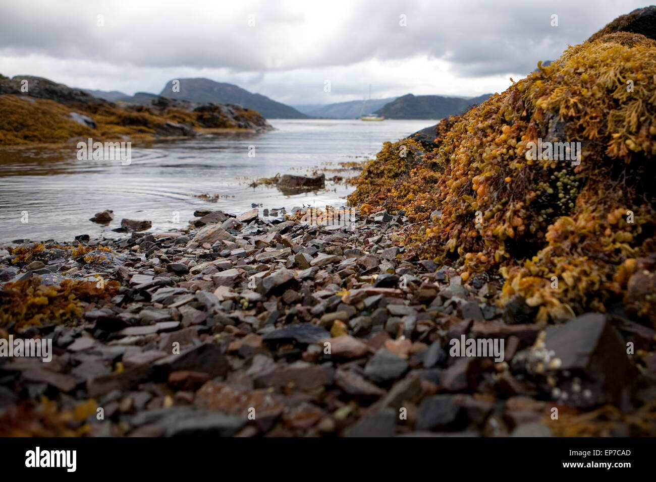 Scottish Shoreline Stock Photos & Scottish Shoreline Stock Images - Alamy