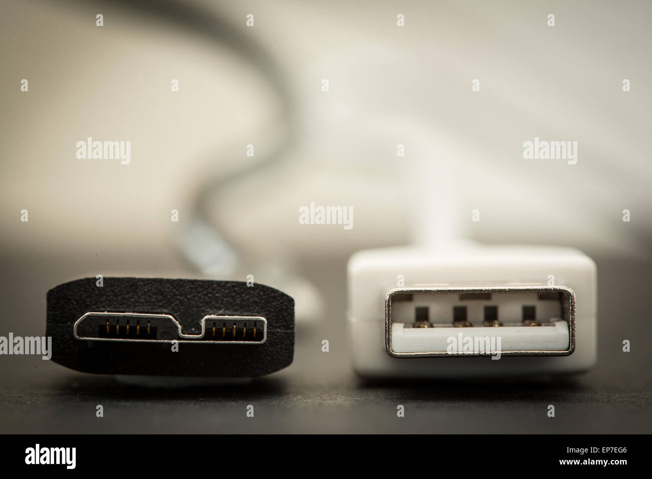 Close up of tip of black USB SS and white USB Stock Photo - Alamy