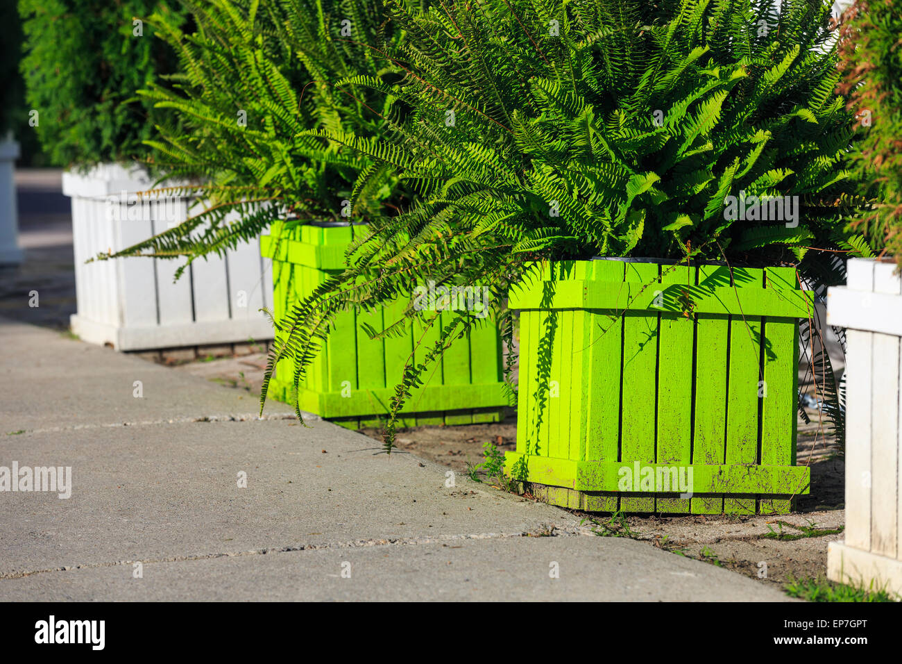 Planters box hi-res stock photography and images - Alamy