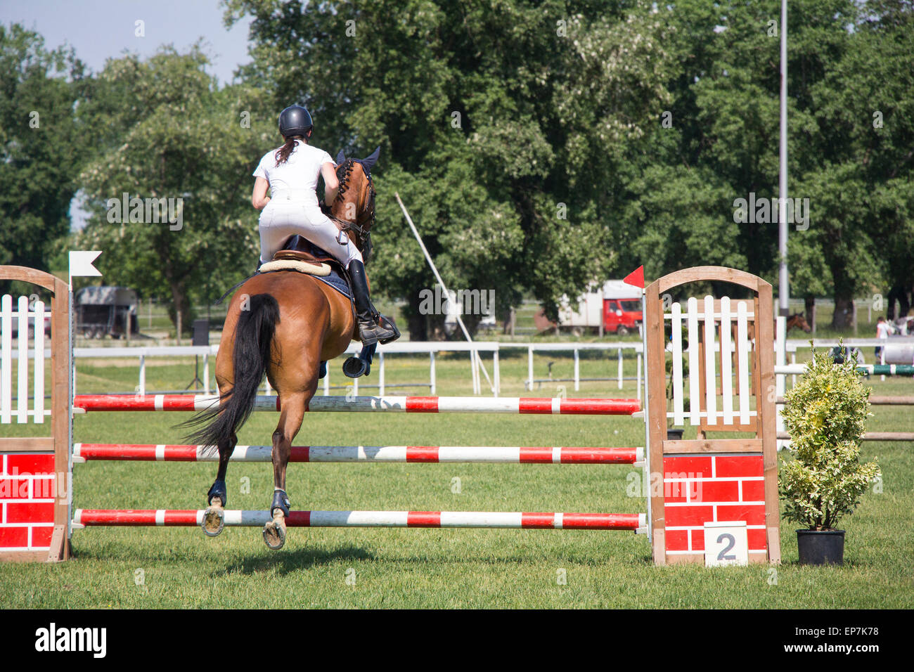 A rider on horseback competing in show jumping tournament Stock Photo ...
