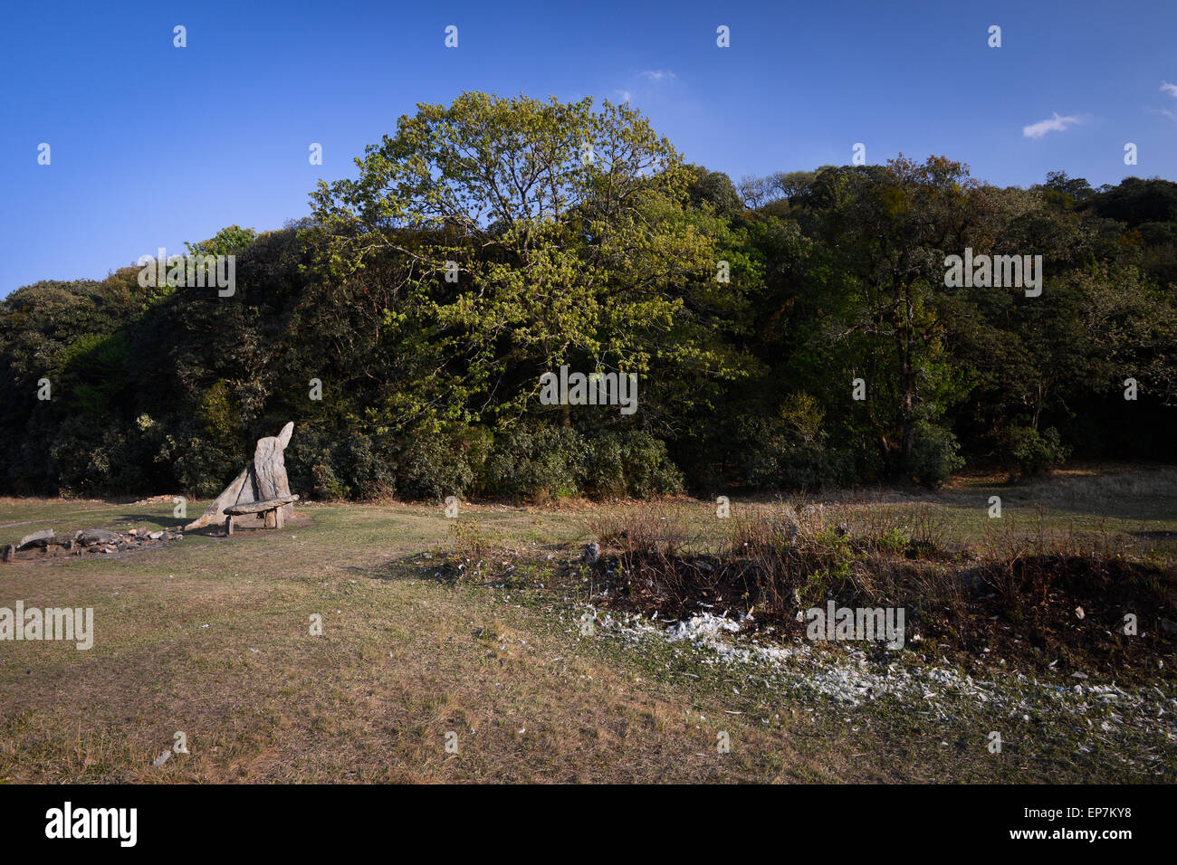 A sacred tree grove and monoliths in Mawphlang, India Stock Photo - Alamy
