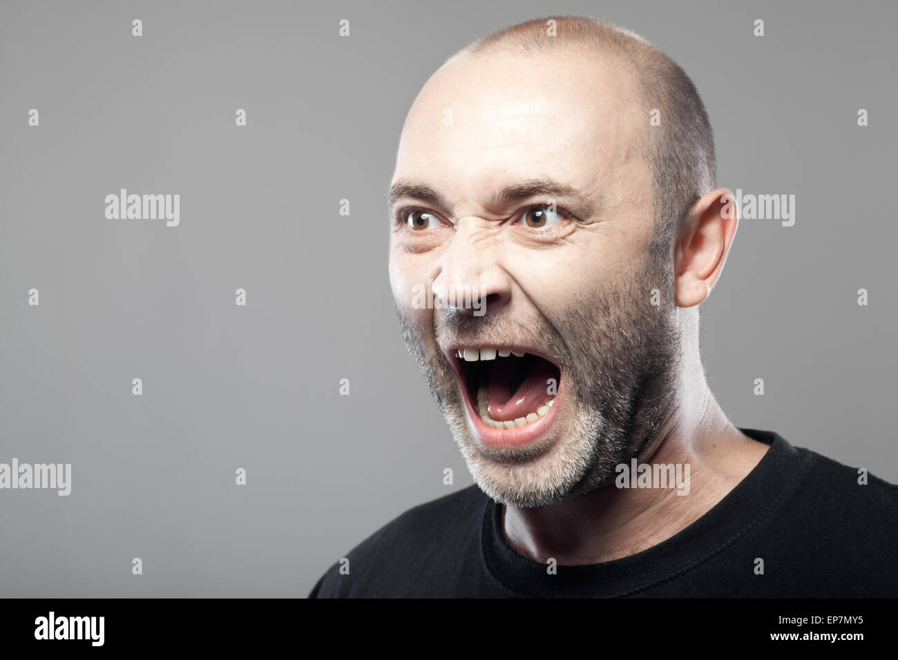 portrait of angry man sreaming isolated on gray Stock Photo - Alamy