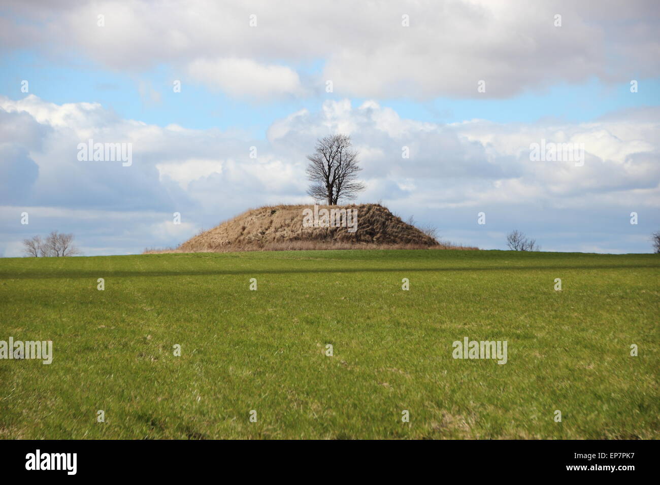 Bronze age barrow denmark hi-res stock photography and images - Alamy