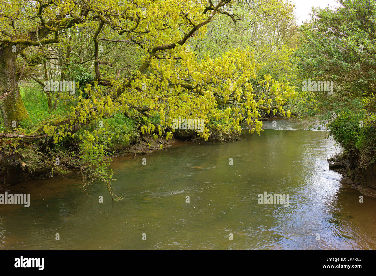 Harbourne hi-res stock photography and images - Alamy