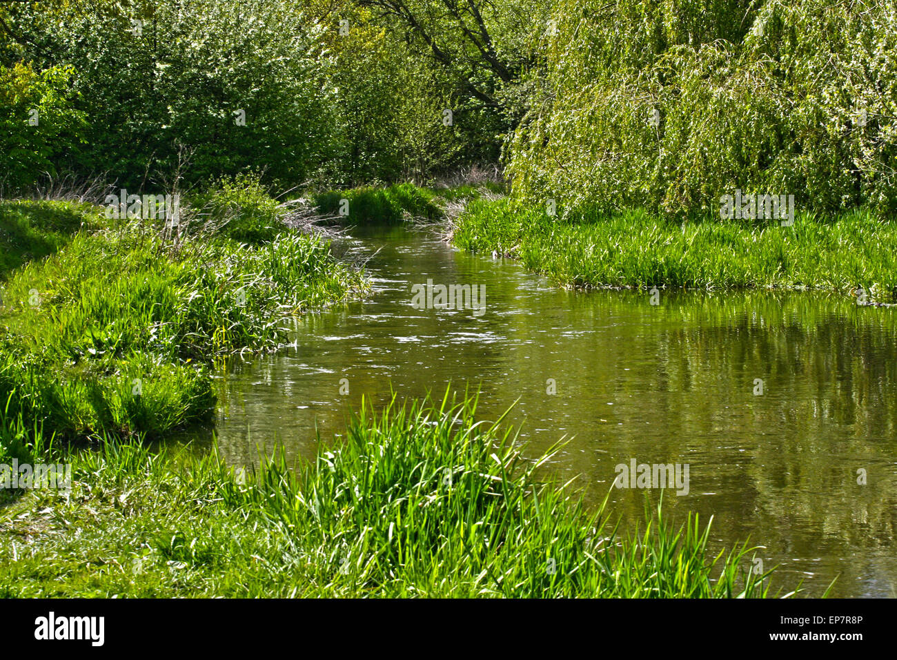 River and Reed Landscape Stock Photo - Alamy