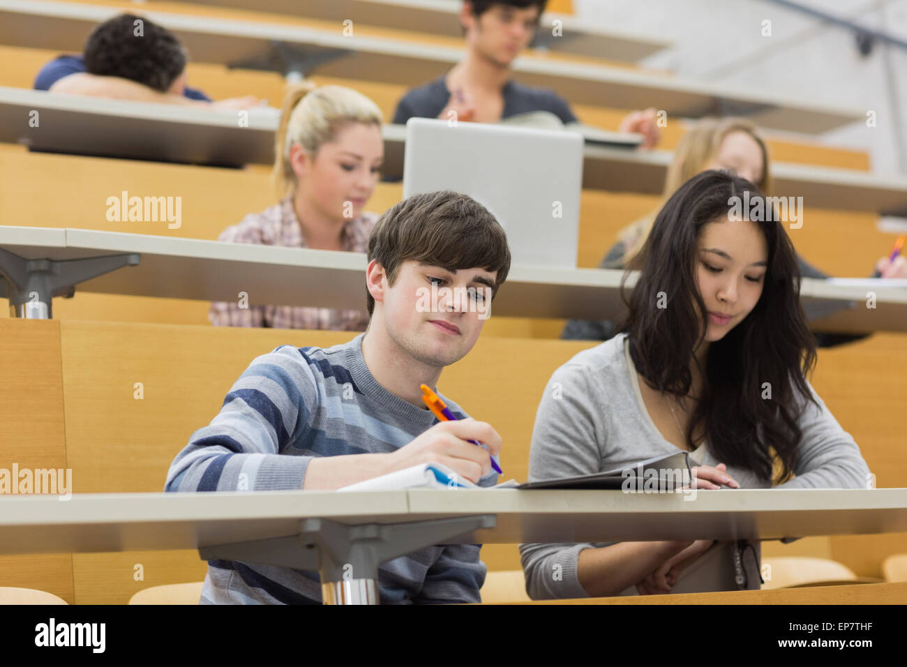 Focused woman listening lecture hi-res stock photography and images - Alamy