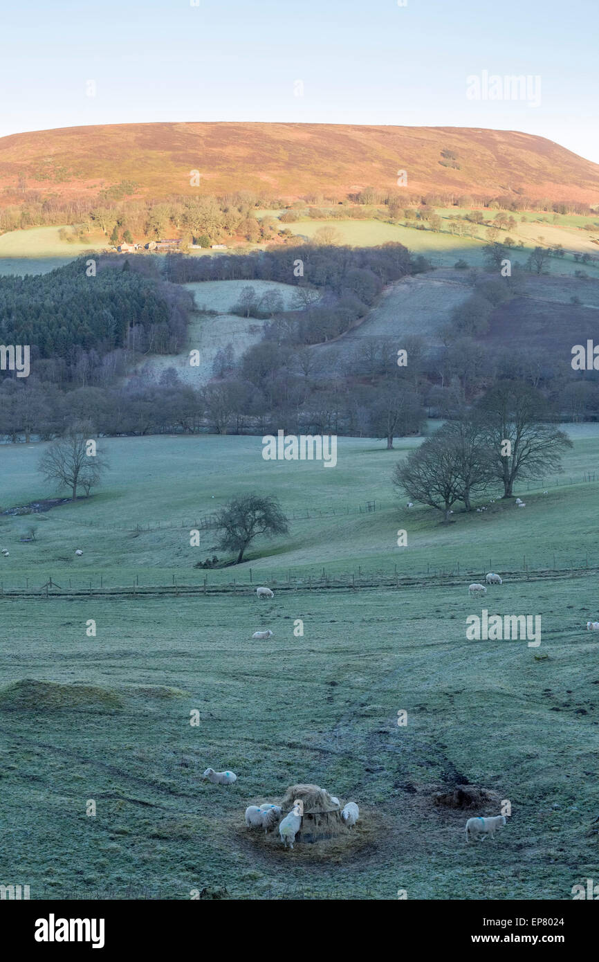 Easterside hill in Bilsdale, North Yorkshire Stock Photo - Alamy