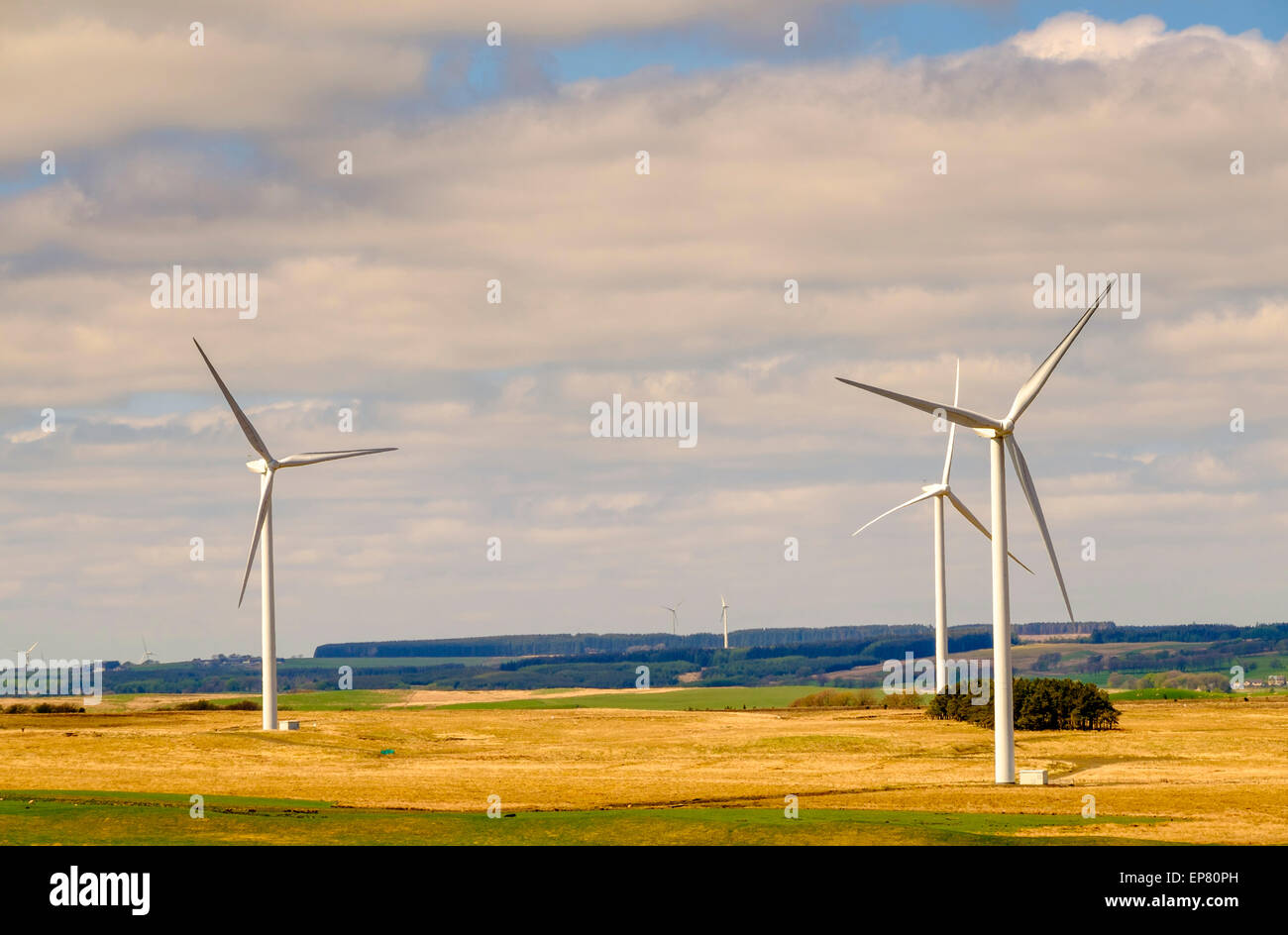 Wind turbines in Scotland Stock Photo - Alamy