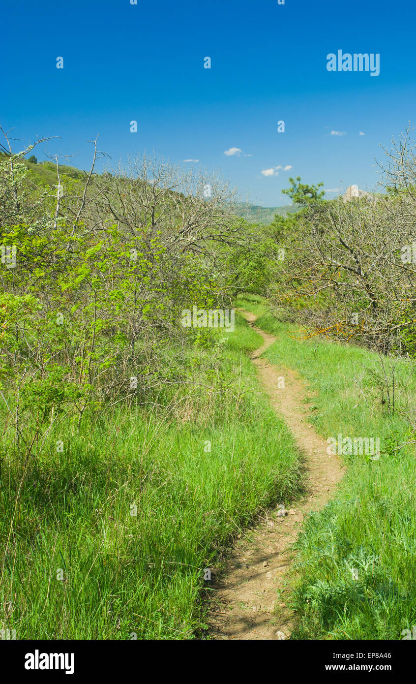 Path in spring forest - Karadag nature reserve, Crimea, Ukraine Stock ...