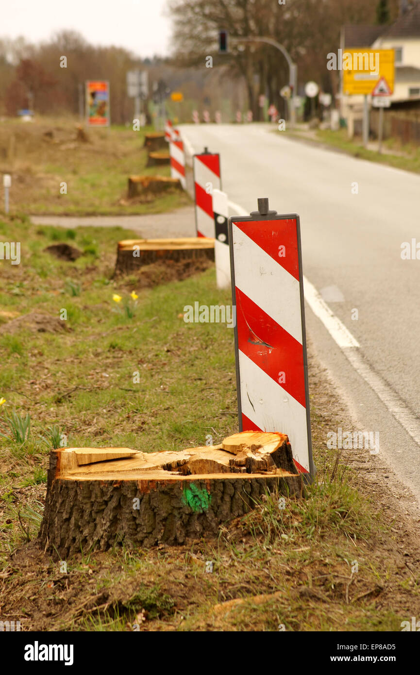 Trees roadside hi-res stock photography and images - Alamy