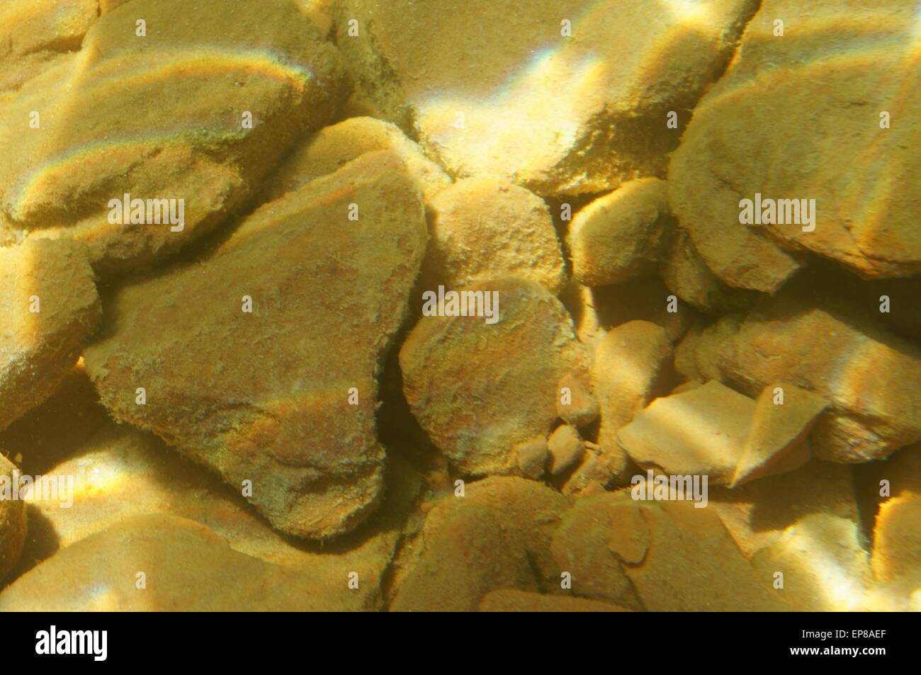 Underwater refraction hi-res stock photography and images - Alamy