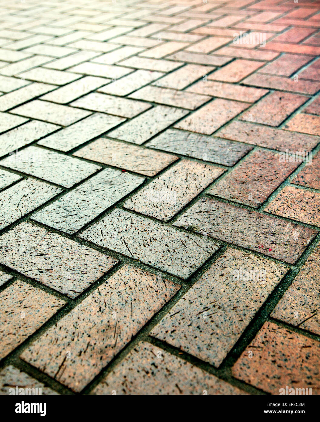 Modern stone street road pavement texture, Brick pavement with ...