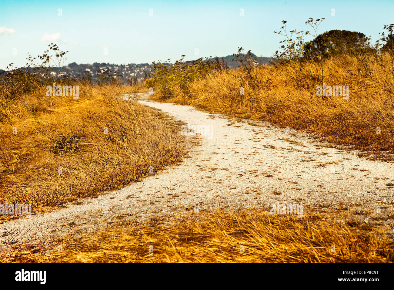 Empty wheat field hi-res stock photography and images - Alamy