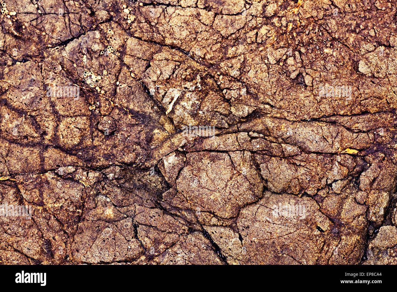 Red Rock Texture Seamless