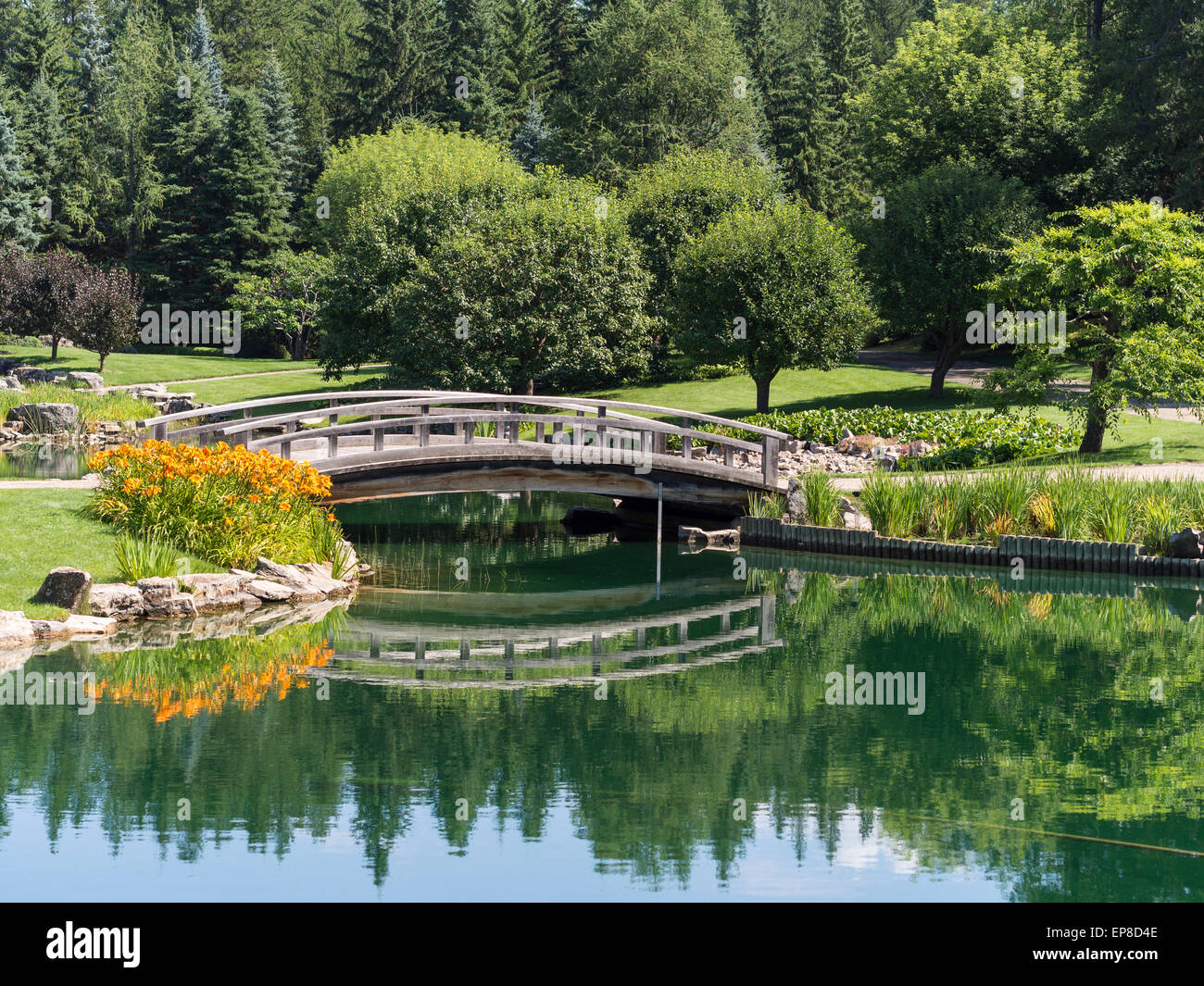 Bridge over calm water in the Japanese Garden. An ornamental bridge in ...