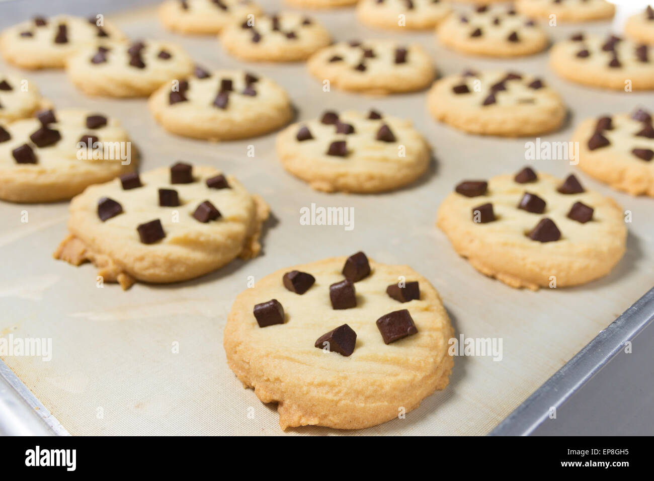 Griddle rack hi-res stock photography and images - Alamy