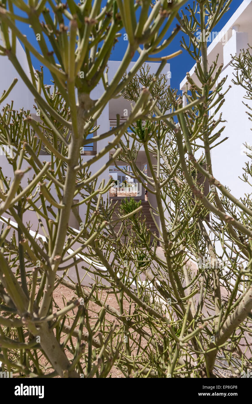 hotel facade in Egypt with cactus trees Stock Photo - Alamy