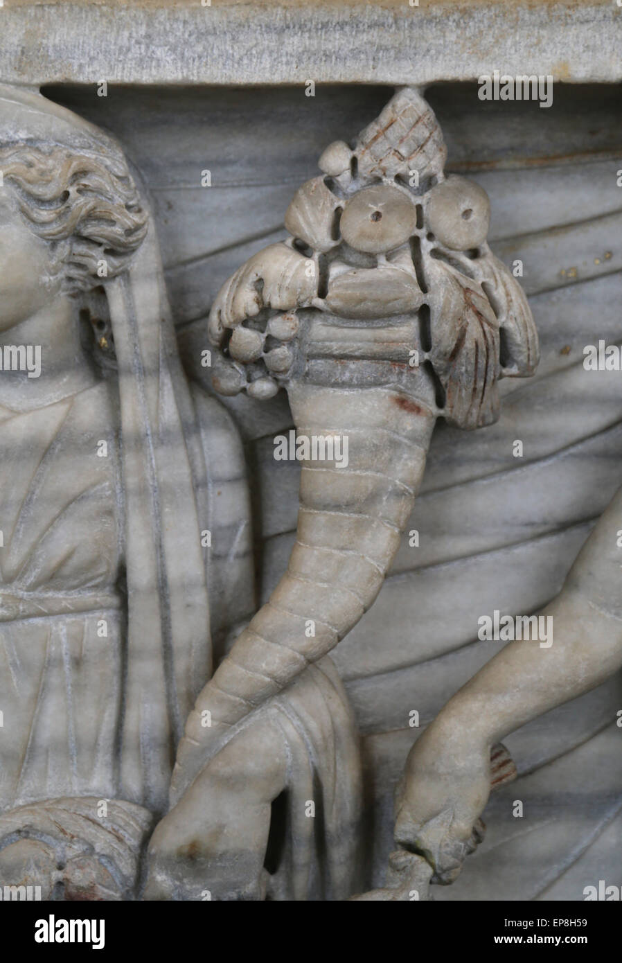 Cornucopia horn High Resolution Stock Photography and Images - Alamy