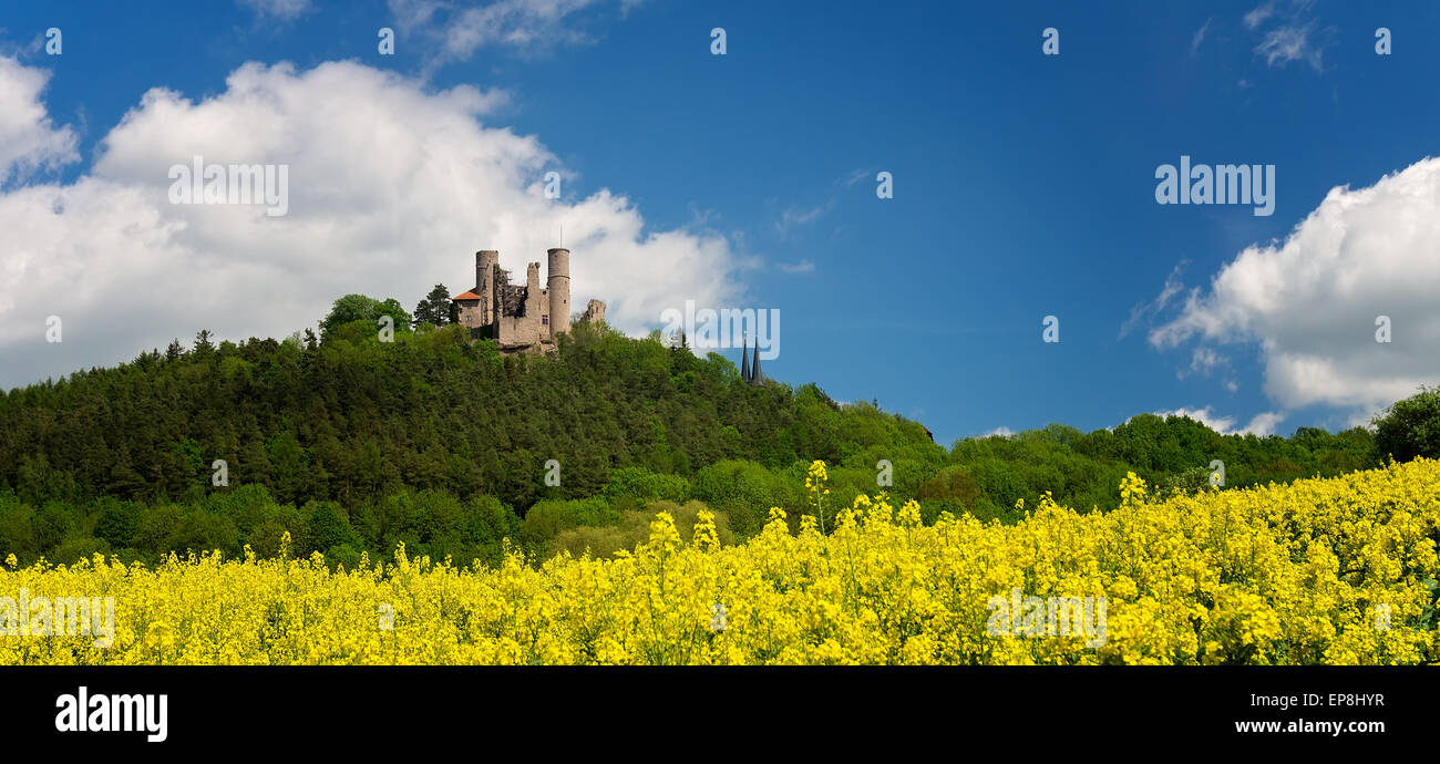 German landscape - castle ruin Stock Photo - Alamy
