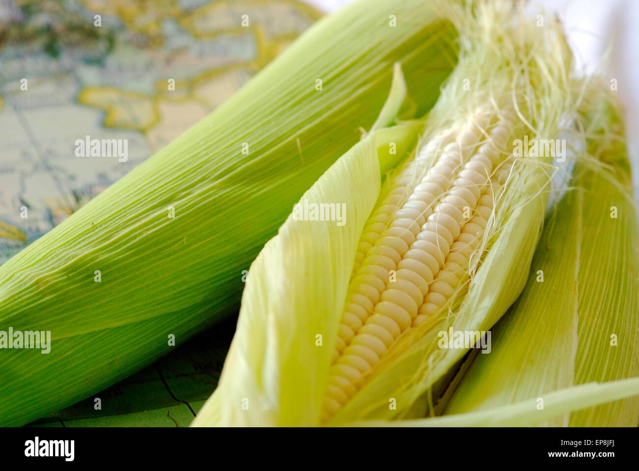 Mielies or corn on the cob is often cooked on open fire in South Africa ...