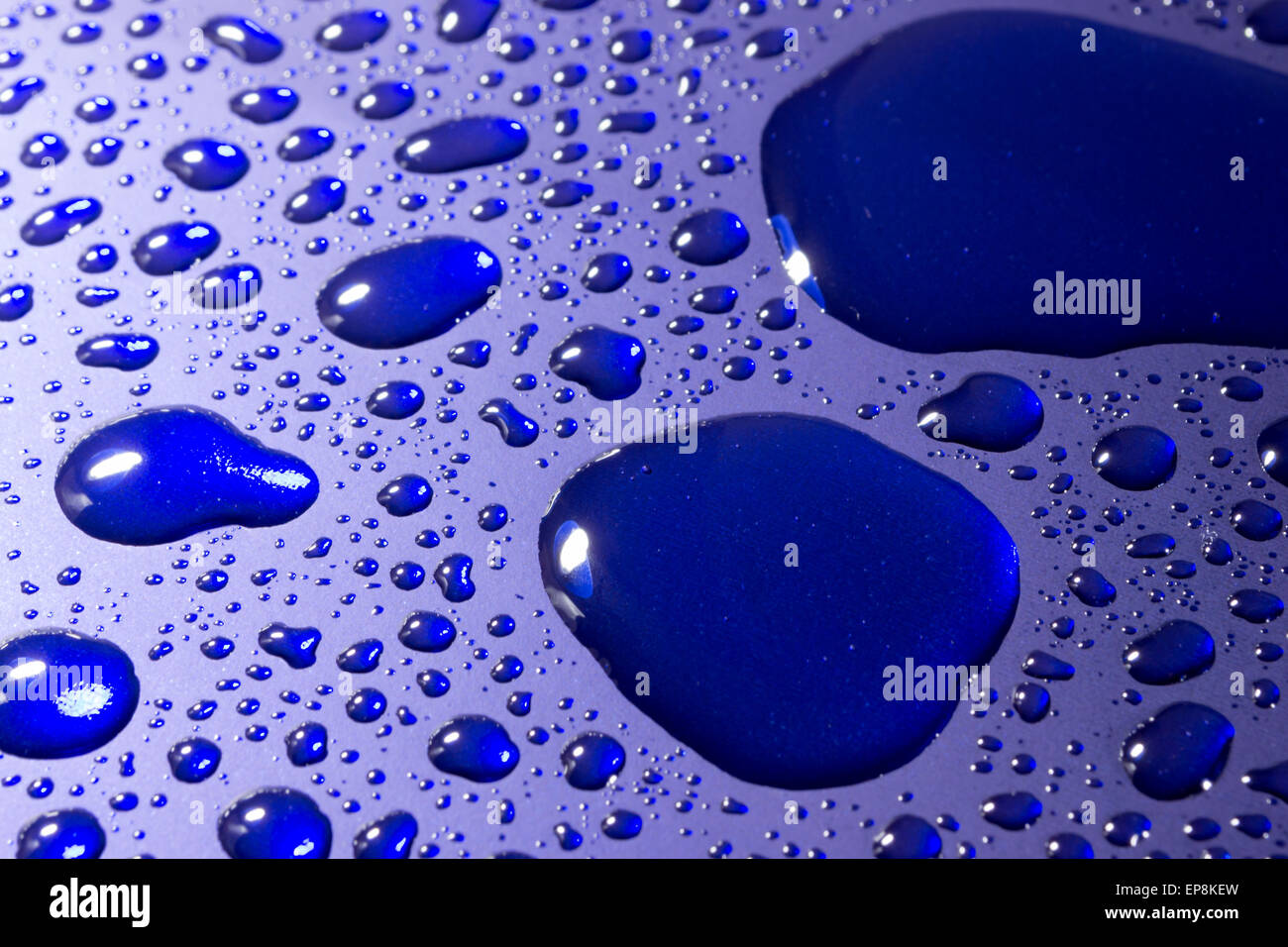 Pools of water droplets reflected from bright blue metal with white ...