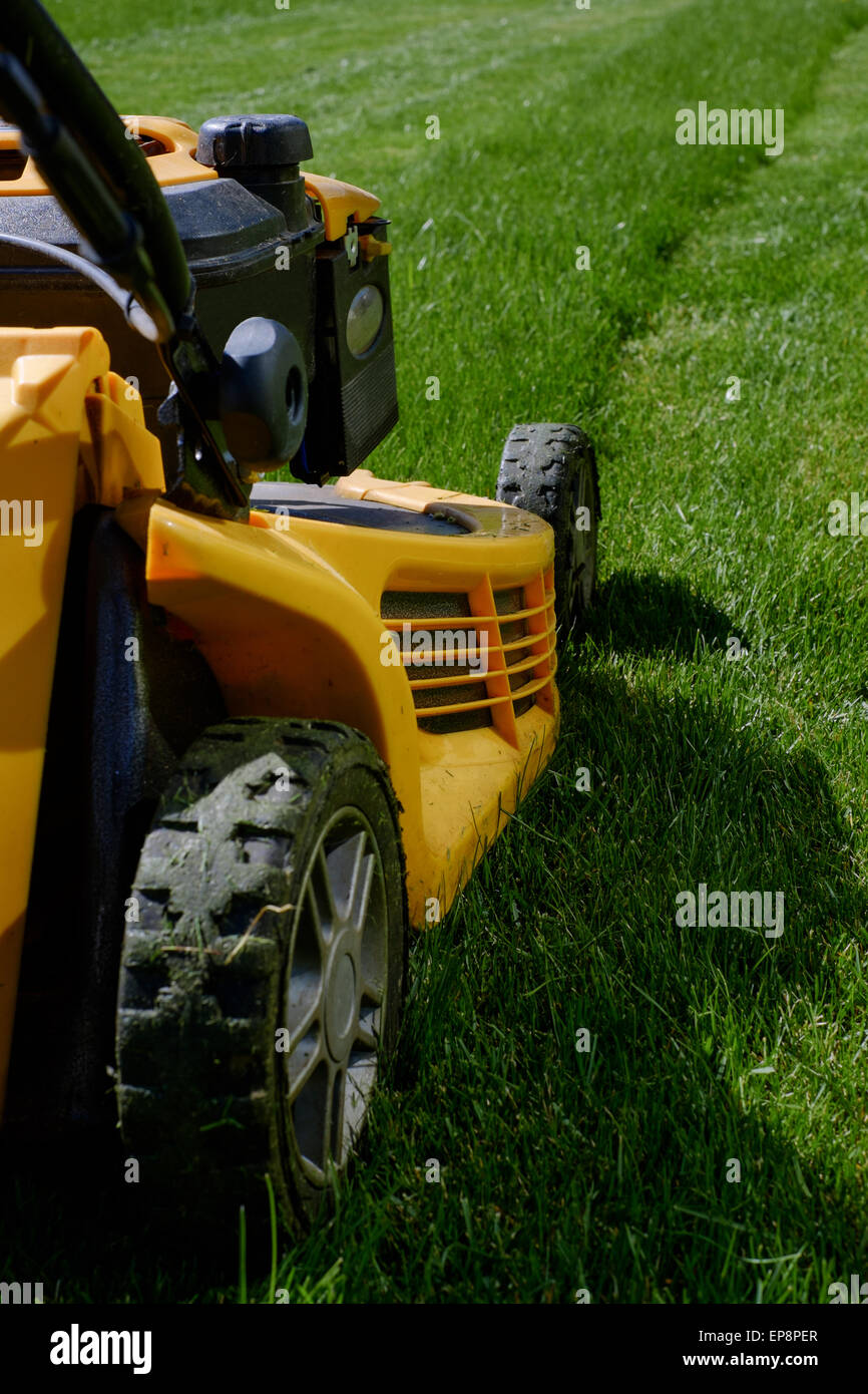 Yellow lawn mower on the green grass. Caring for a garden. Shallow ...