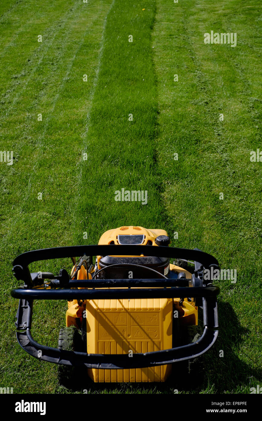 Yellow lawn mower on the green grass. Caring for a garden. Shallow ...