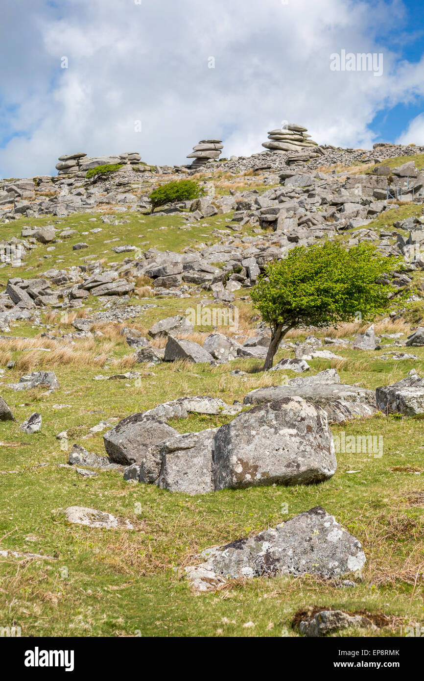 cheesewring bodmin moor cornwall england uk Stock Photo - Alamy