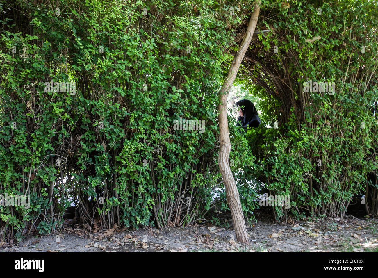 Iranian woman cell hi-res stock photography and images - Alamy
