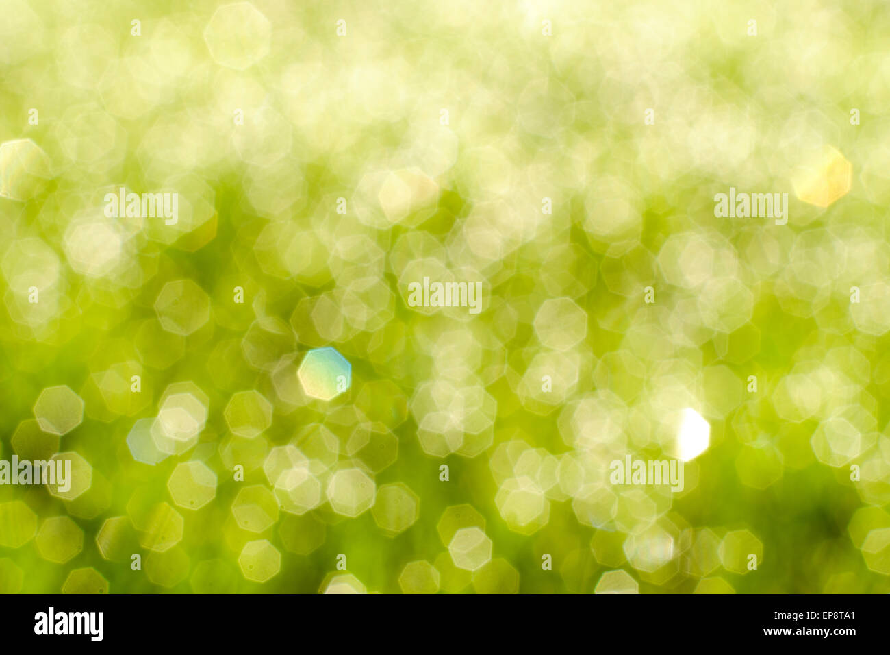 Sunny abstract green nature background Stock Photo - Alamy