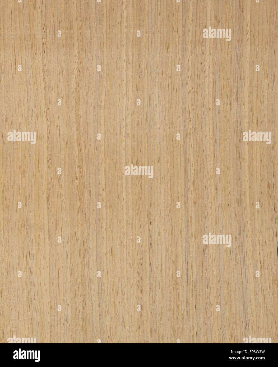 Texture of high detailed wood texture series Stock Photo - Alamy