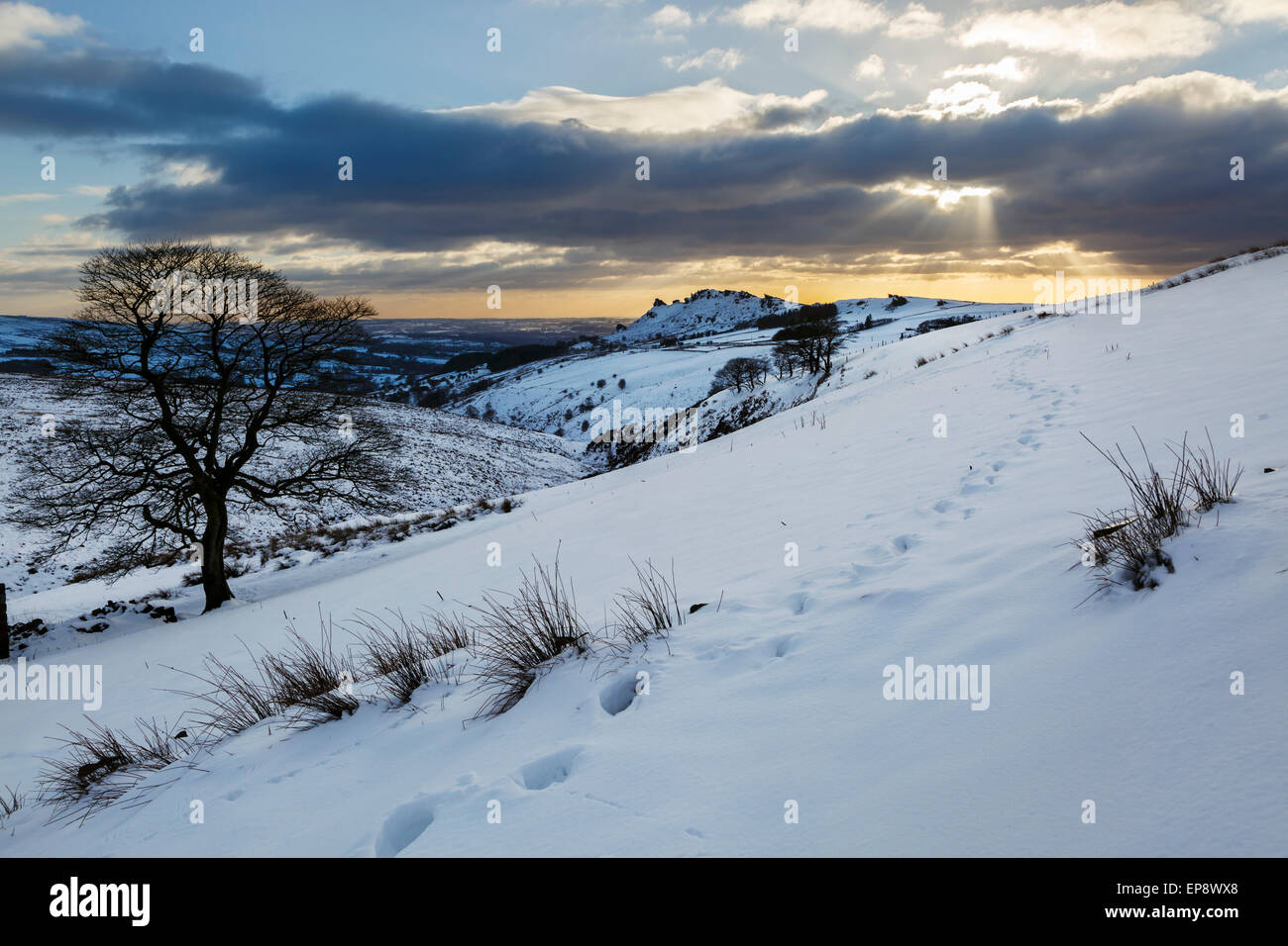 View towards Ramshaw Rocks from the Morridge, Peak District National ...