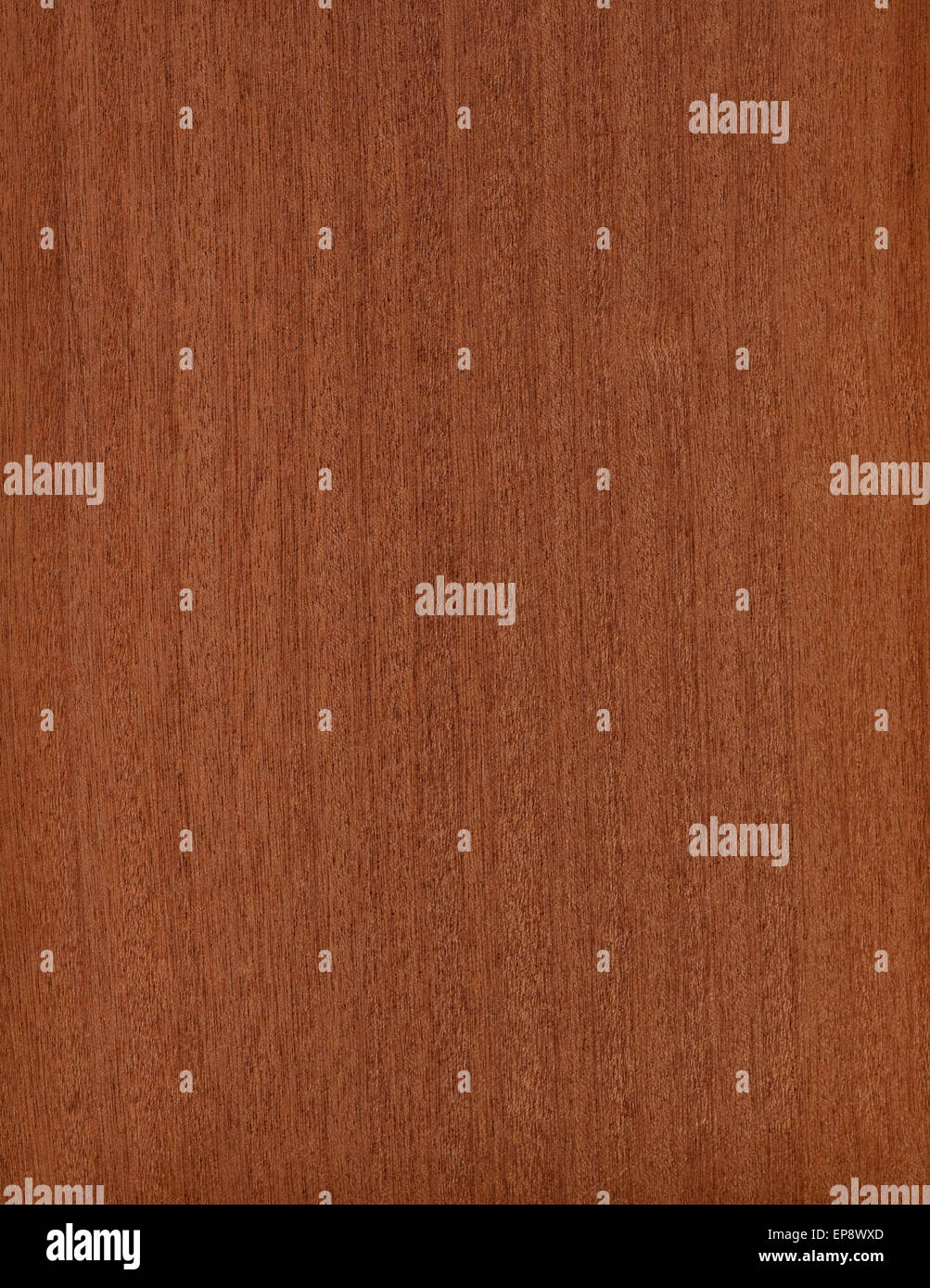 Texture of high detailed wood texture series Stock Photo - Alamy