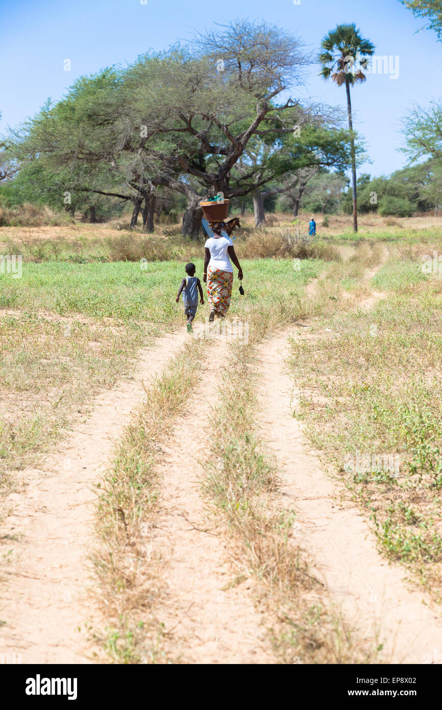 Lifestyle in village, Seine de Saloum, Senegal, Africa Stock Photo - Alamy
