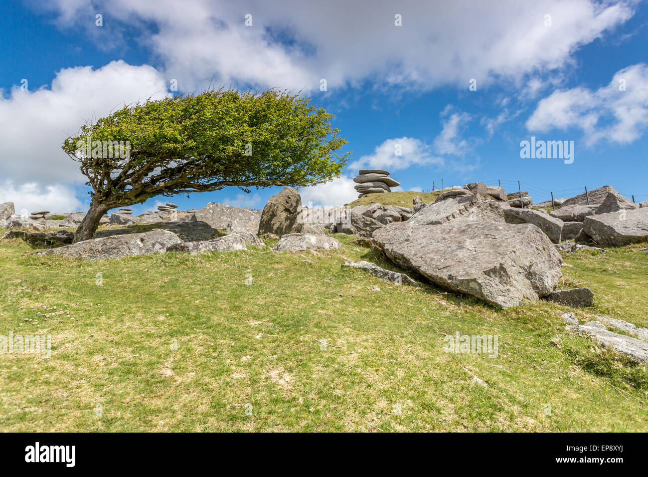 cheesewring bodmin moor cornwall england uk Stock Photo - Alamy