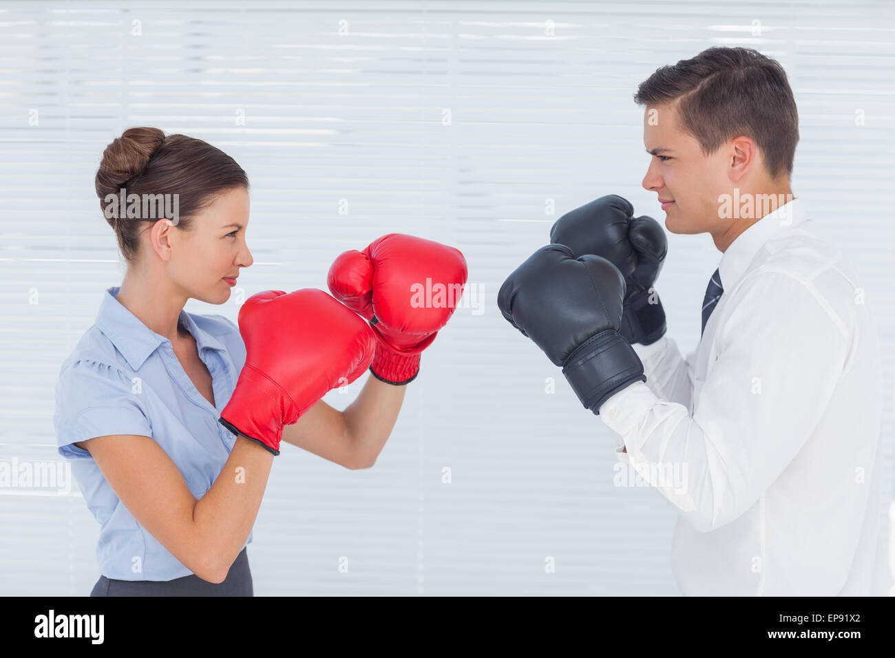 Colleagues in competition having a boxing match Stock Photo - Alamy