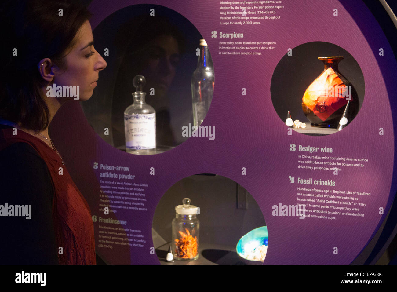 London, UK. 14 May 2015. An exhibition assistant looks at a display ...