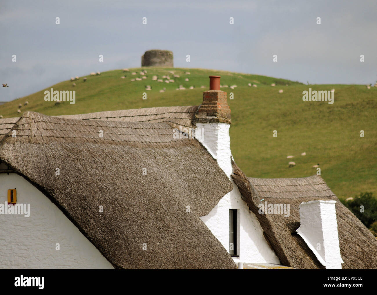Part of the roofline of the North Devon Cricket Club, clubhouse ...