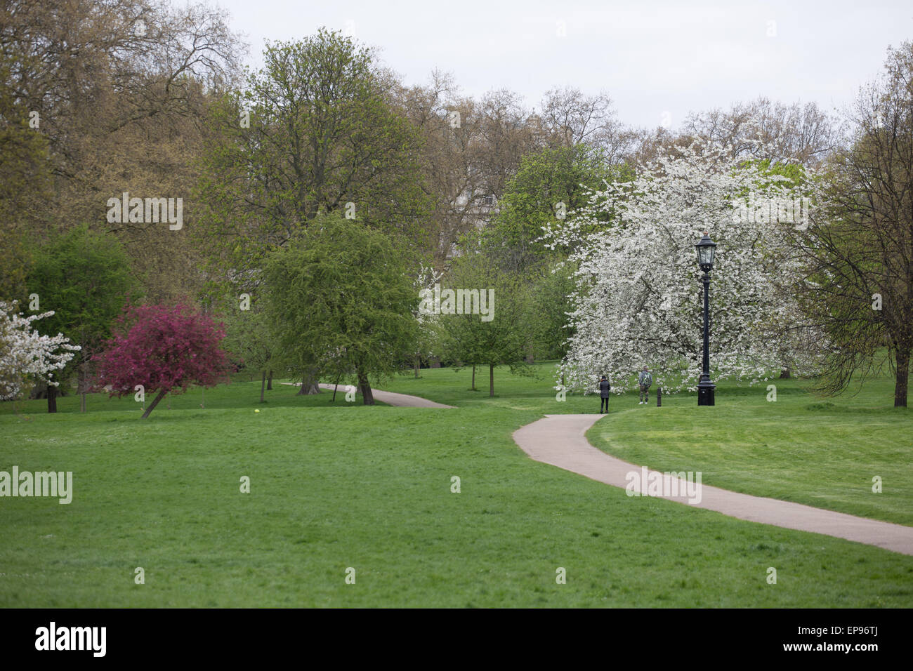 Spring in the park hi-res stock photography and images - Alamy