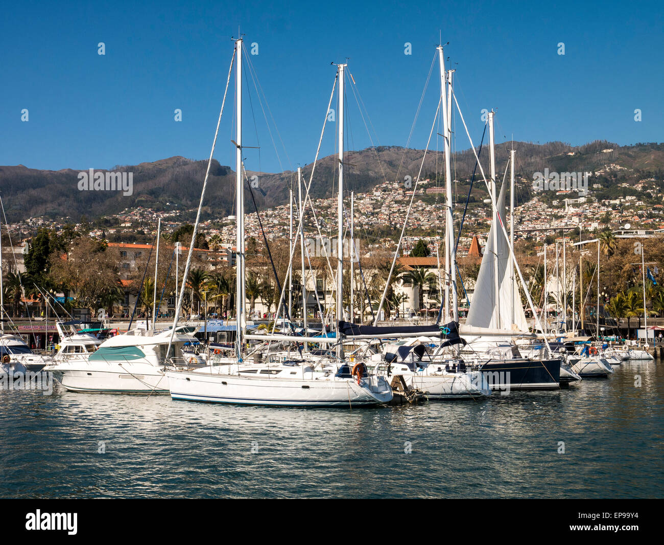 The Marina, Funchal, Madeira, Portugal Stock Photo - Alamy