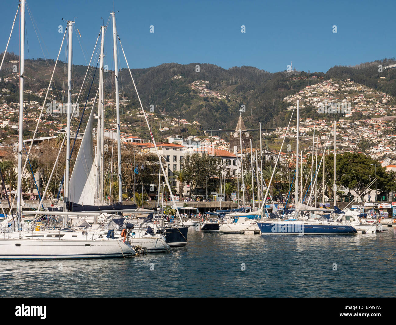 The Marina, Funchal, Madeira, Portugal Stock Photo - Alamy