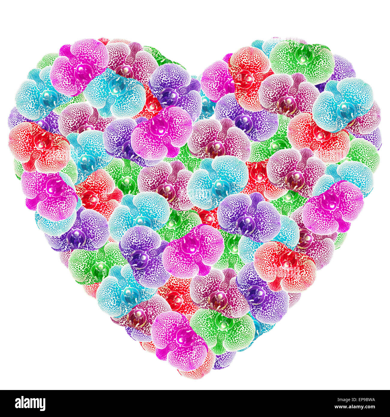 heart shape of colorful orchid flower on white background Stock Photo ...
