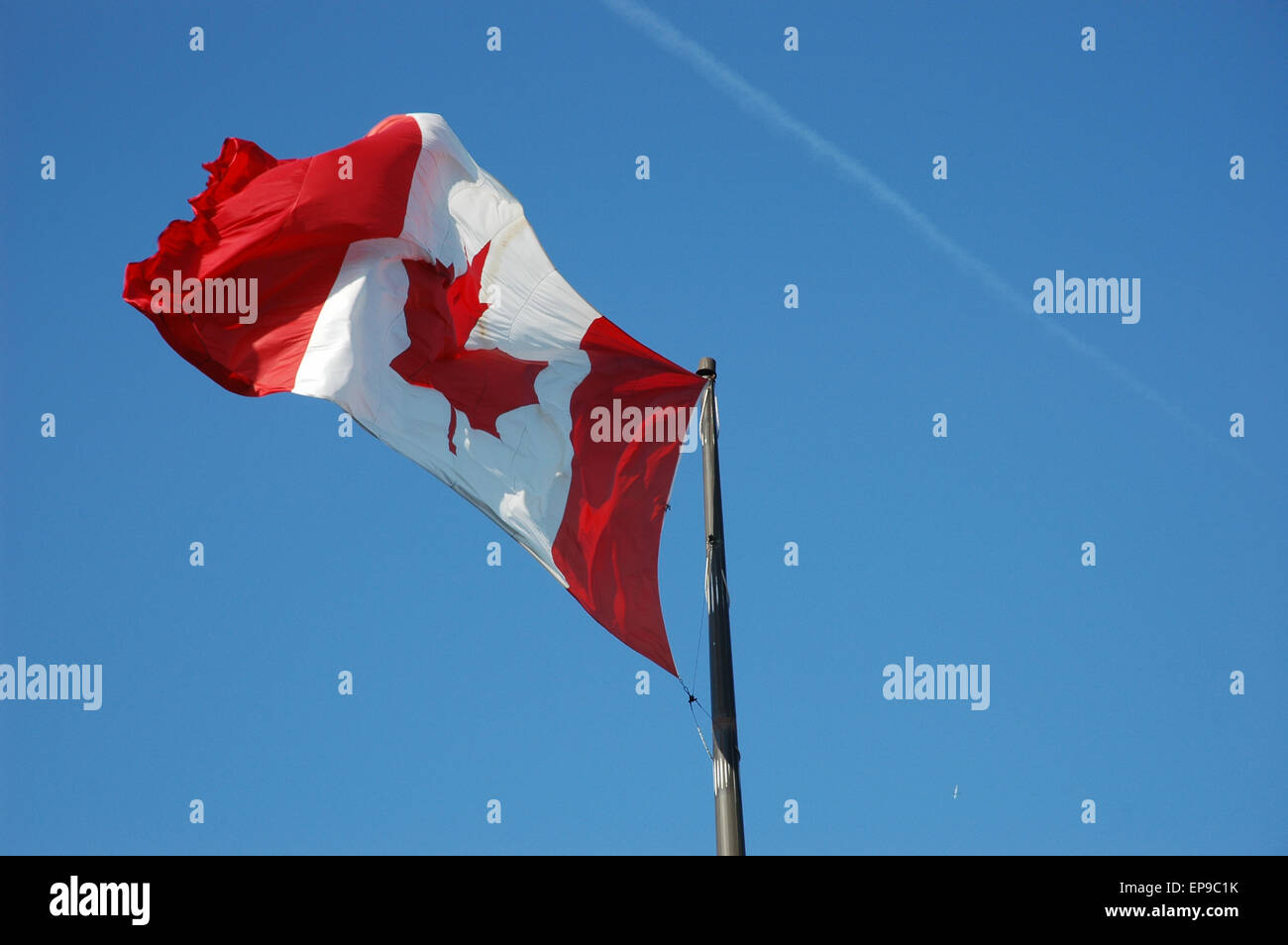 Canada flag toronto hi-res stock photography and images - Alamy